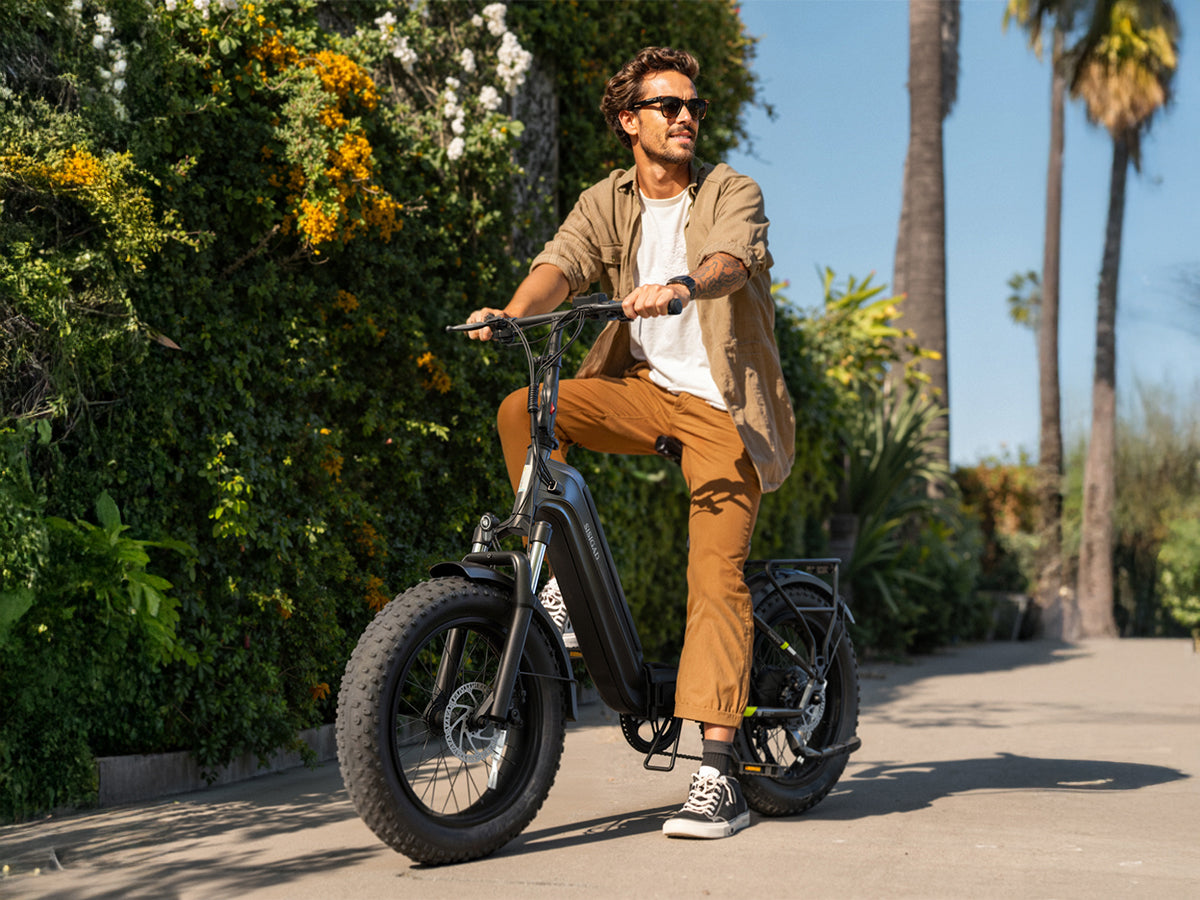 20" Champ Ext Fat Tire Folding Electric Bike – SISIGAD