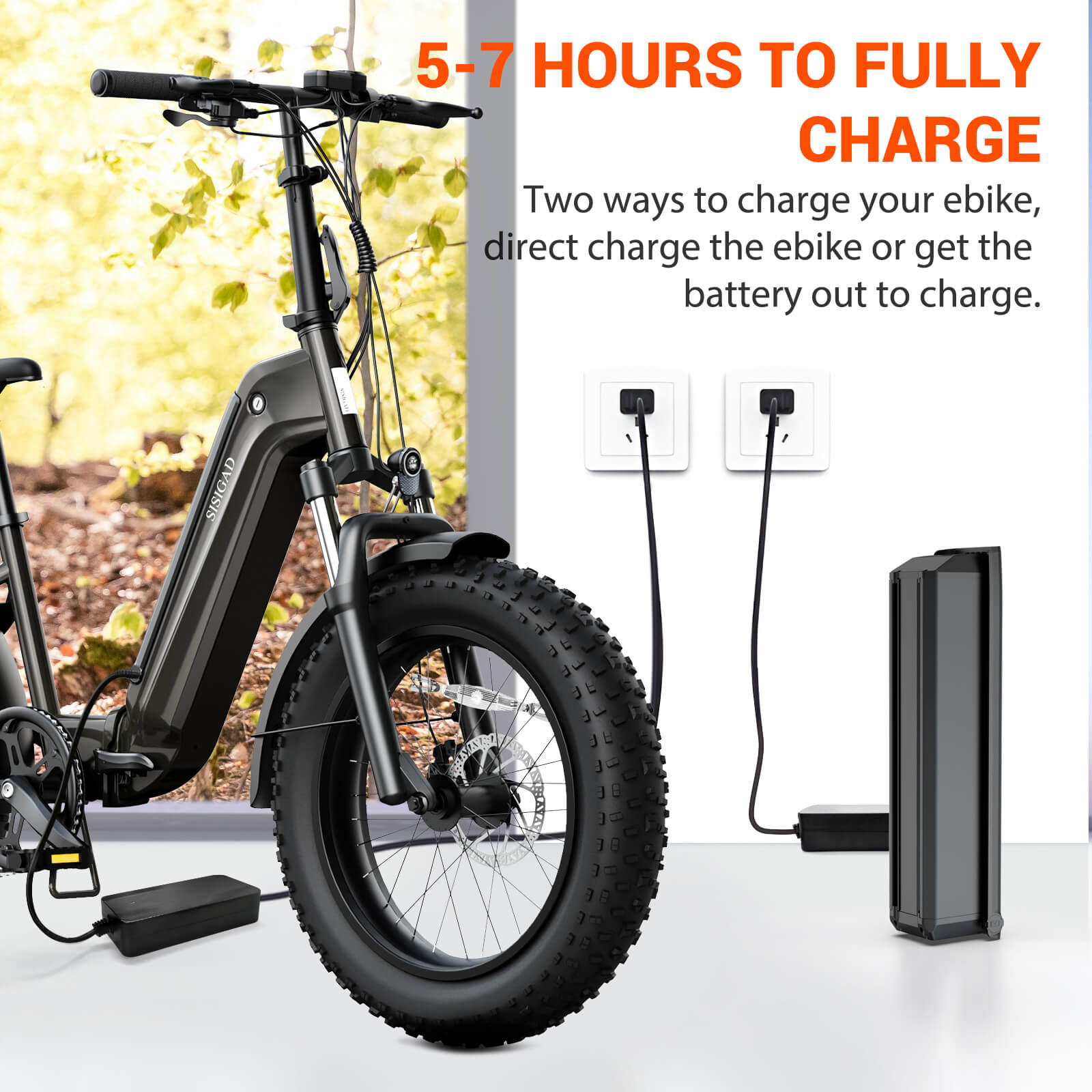 20" Champ Ext Fat Tire Folding Electric Bike | SISIGAD