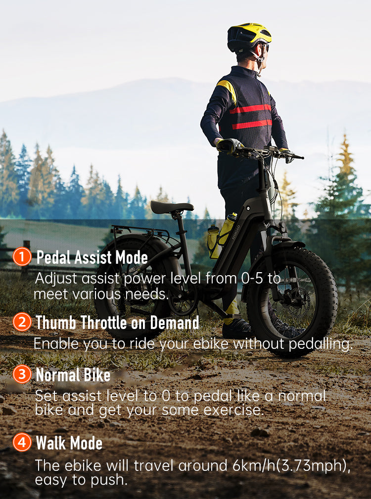 20" Champ Ext Fat Tire Folding Electric Bike | SISIGAD
